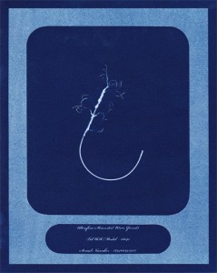 The Dark Mountain Project - Down to Earth Magazine