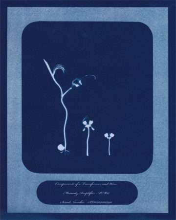 The Dark Mountain Project - Down to Earth Magazine