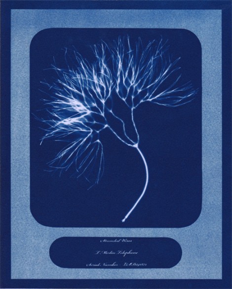 The Dark Mountain Project - Down to Earth Magazine