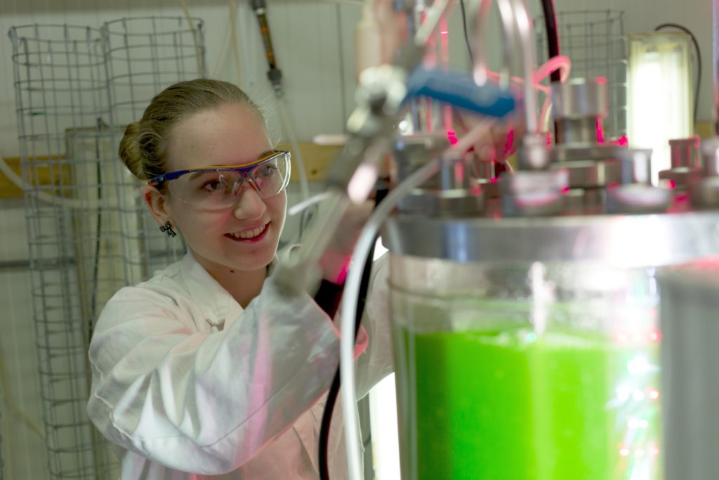 Algen: de ideale grondstof voor alles... behalve brandstof - Down To Earth Magazine