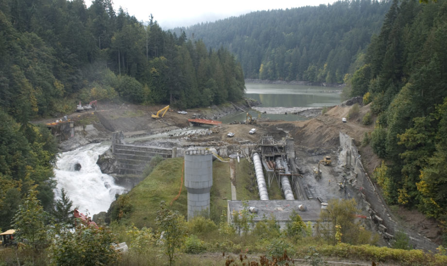 Stuwdammen: elke verwijderde dam is het begin van iets moois - Down To ...