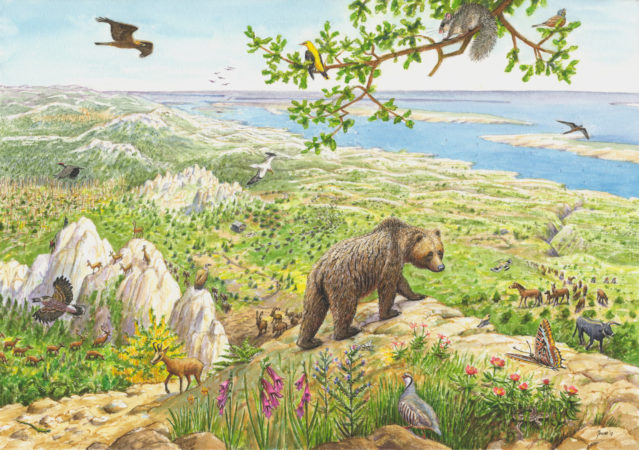 Rewilding: de vele landschappen van het Velebit gebergte in Kroatië ...
