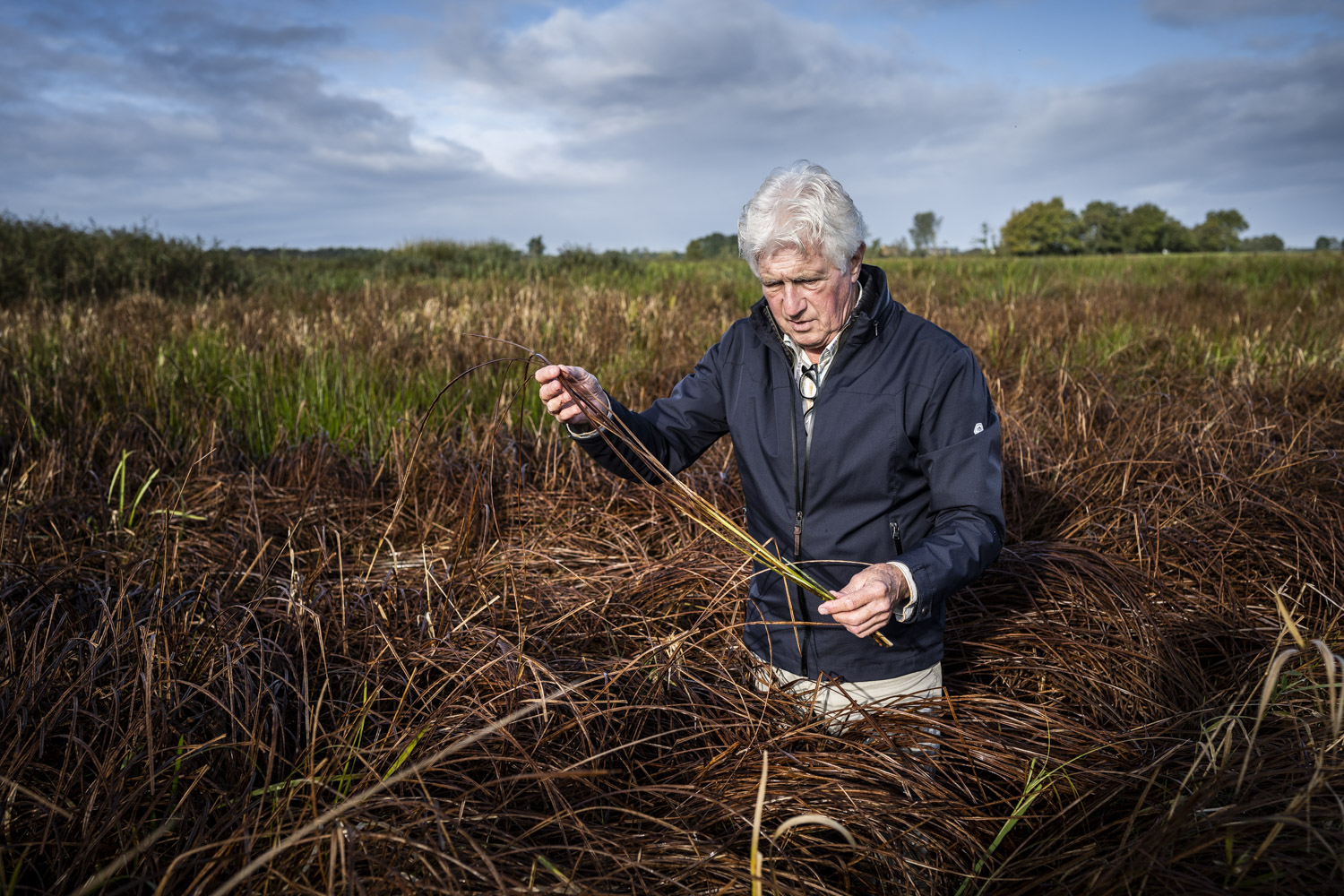 Plantjes turven voor de wetenschap - Down To Earth Magazine