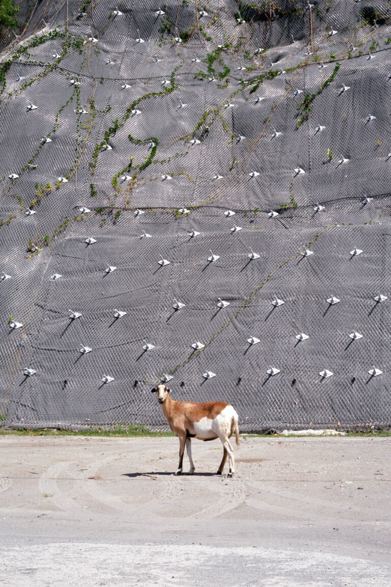 Een campingstoel als plantenbak - Down To Earth Magazine