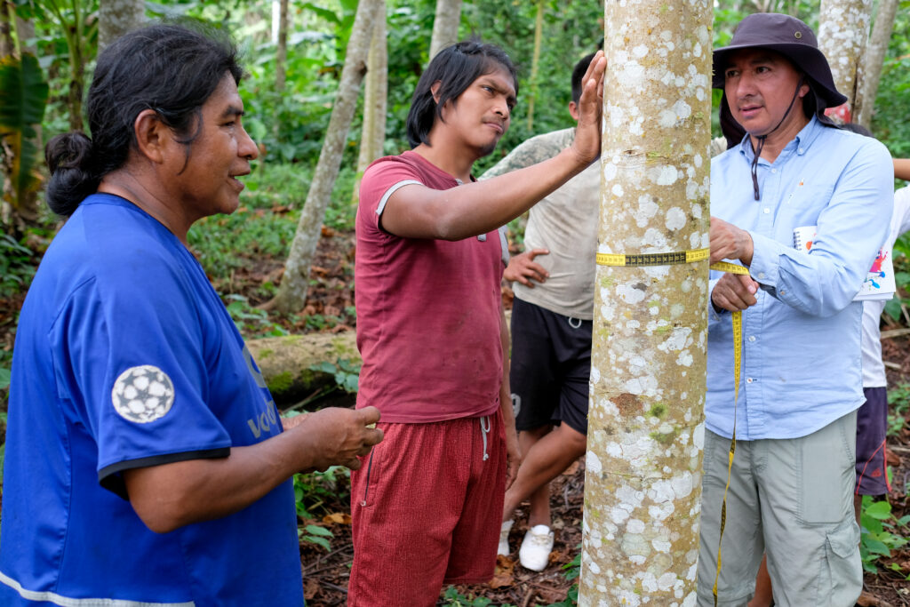 “Hoeveel betalen jullie voor onze bomen?” - Down To Earth Magazine