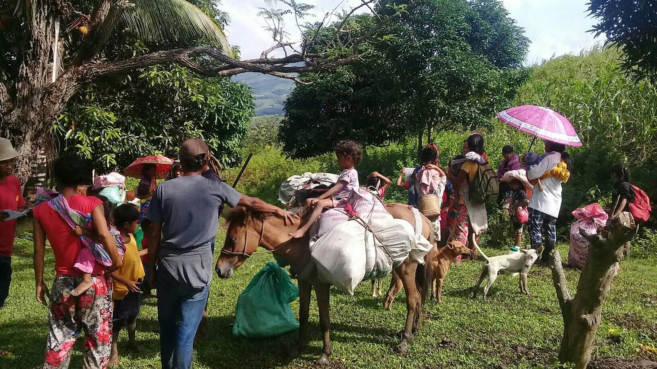 “Op Mindanao zie je hoe belangrijk natuur is voor veiligheid” - Down To ...
