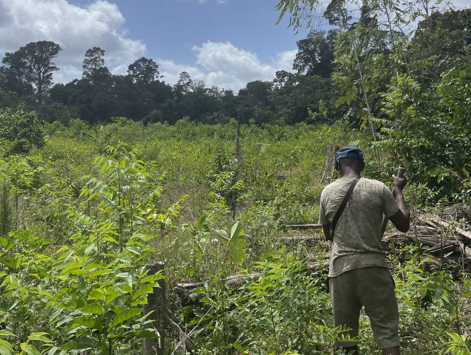 Het prijskaartje van de Surinaamse Gowtu Bergi - Down To Earth Magazine