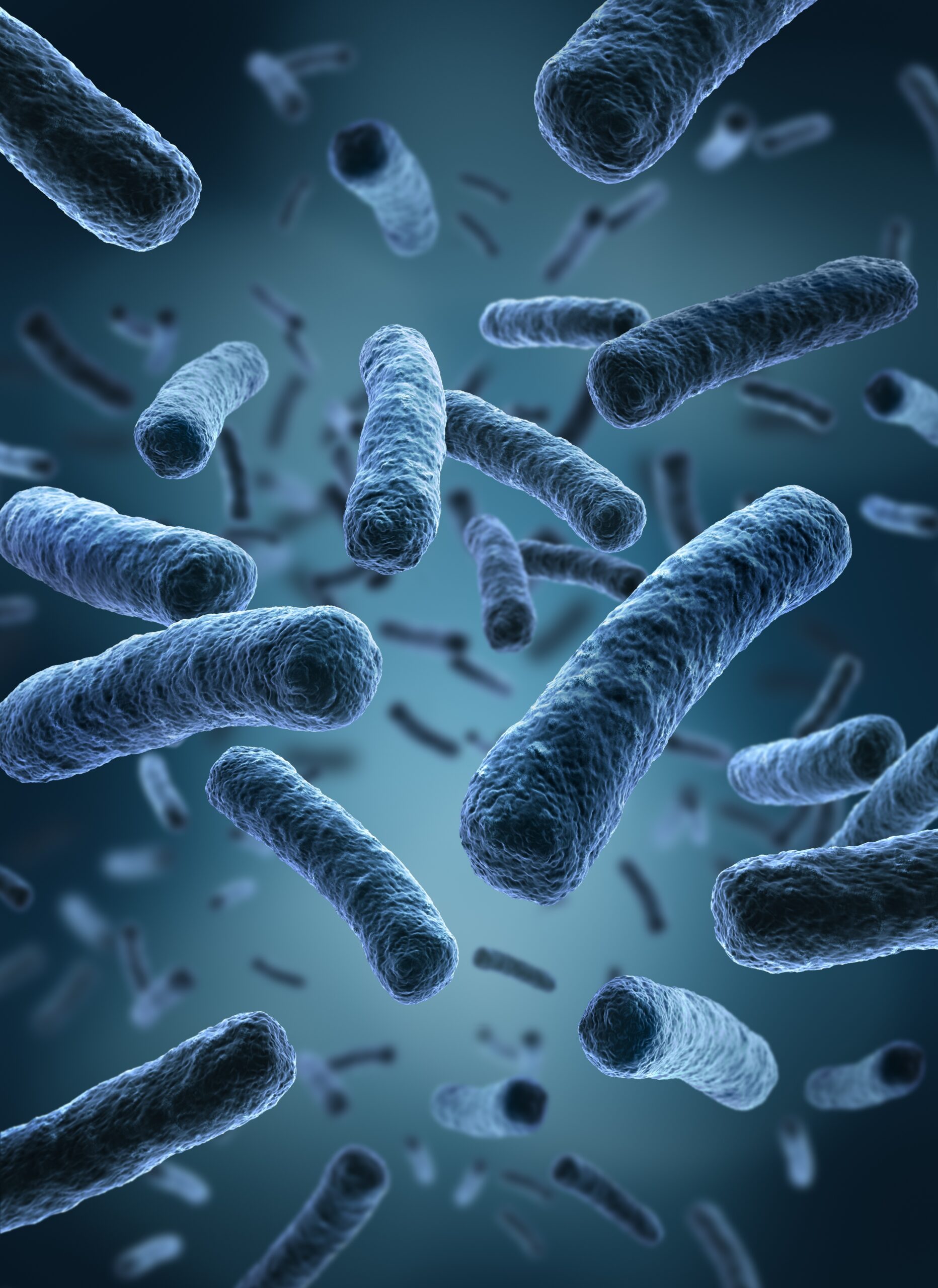 “Ook bacteriën hebben bescherming nodig” - Down To Earth Magazine